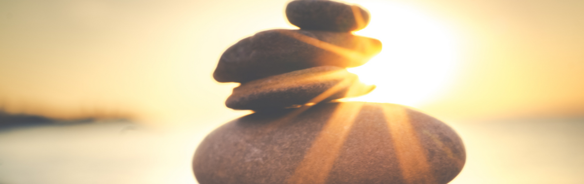 CliC Sun Readers vs. CliC Sun Bifocals – CliC Eyewear