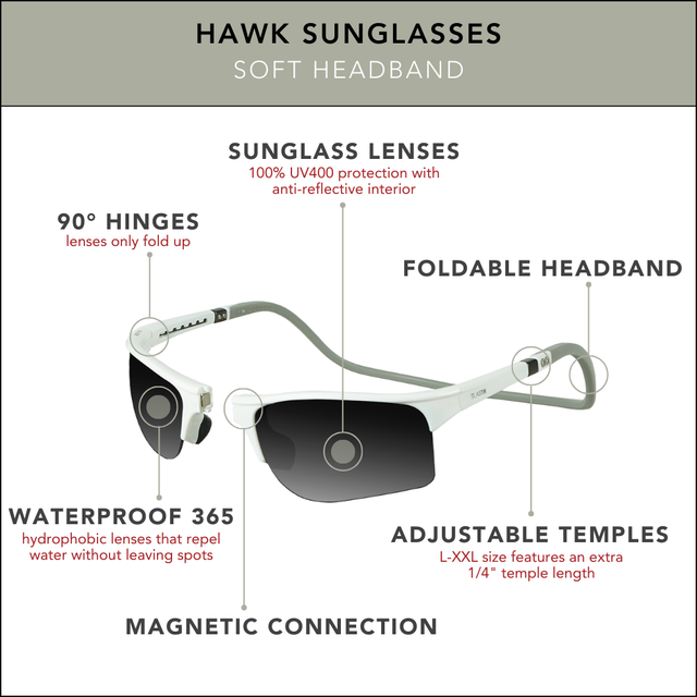 Hawk Sunglasses – CliC Eyewear